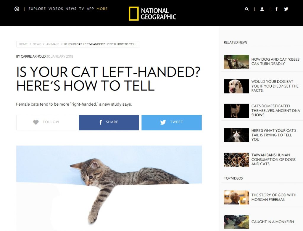 Fakten, News & Interessantes über Linkshändigkeit | Welt der Linkshänder